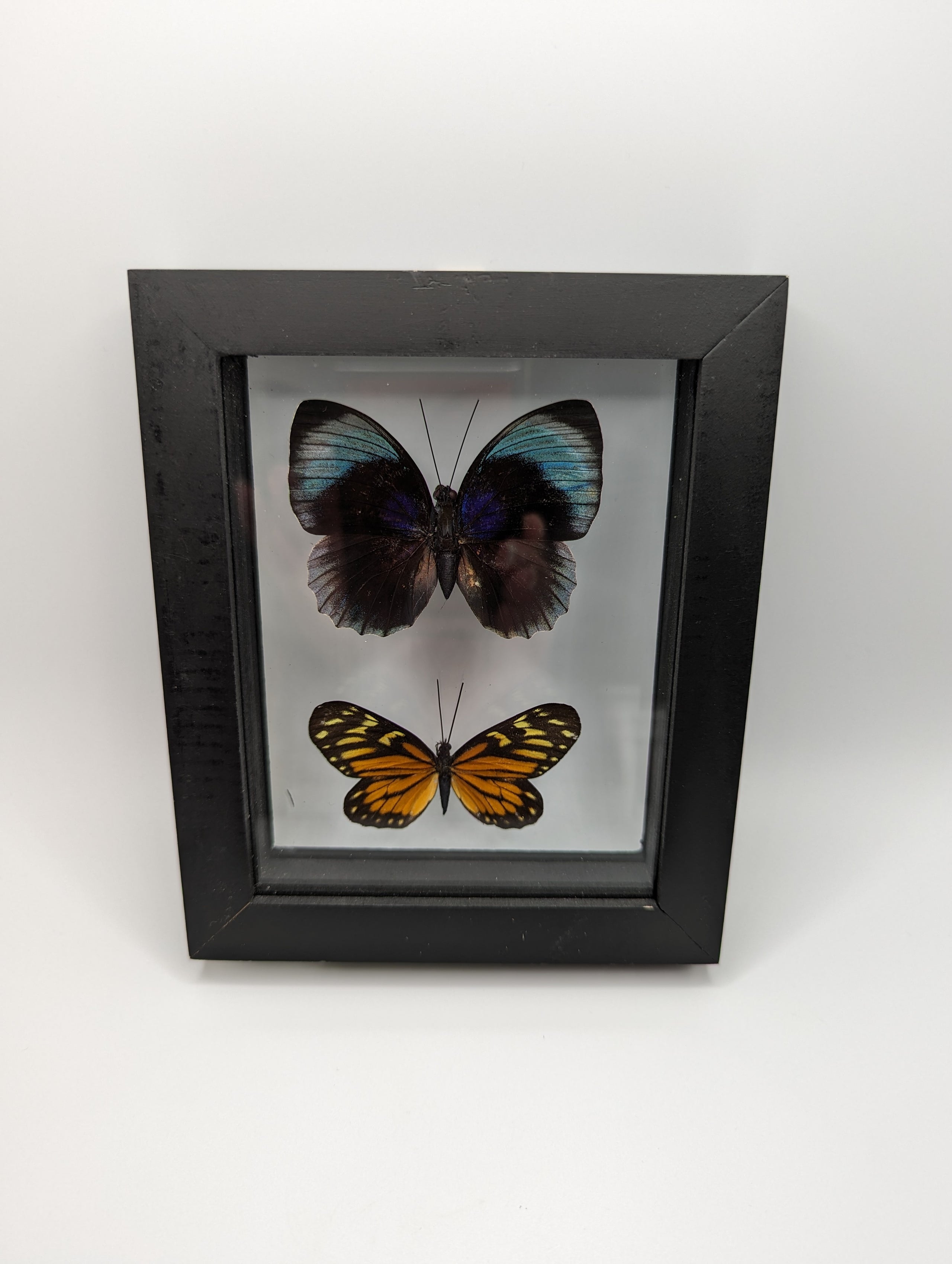Double Butterflies | Positive Healing Energy Crystals