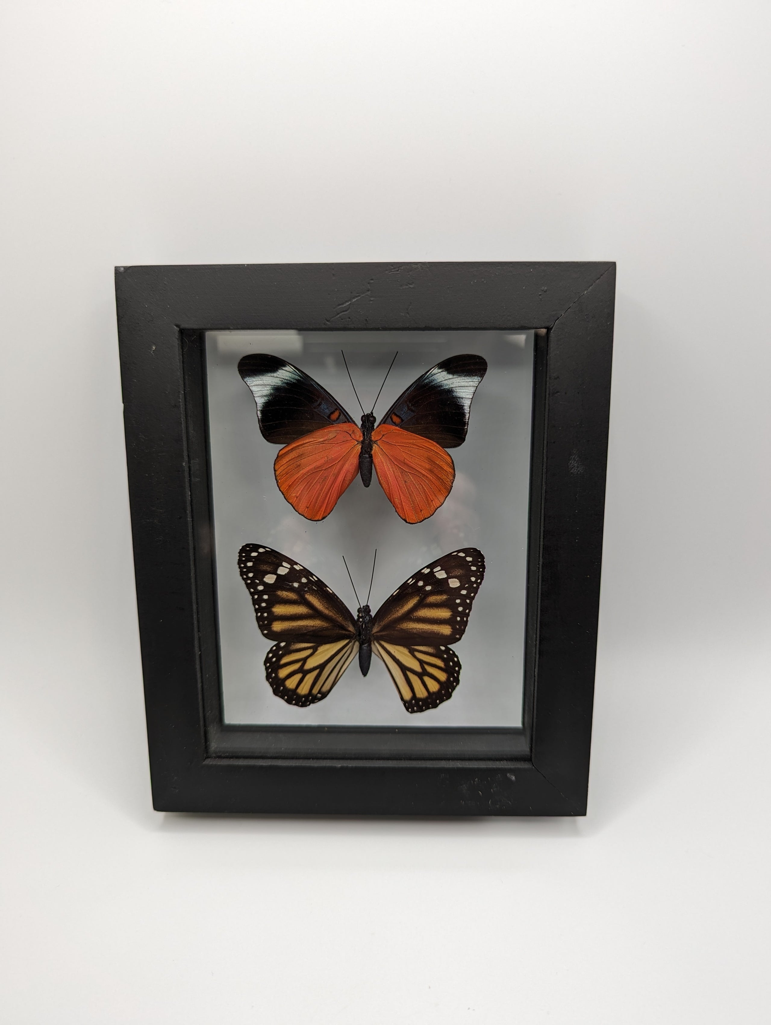 Double Butterflies | Positive Healing Energy Crystals